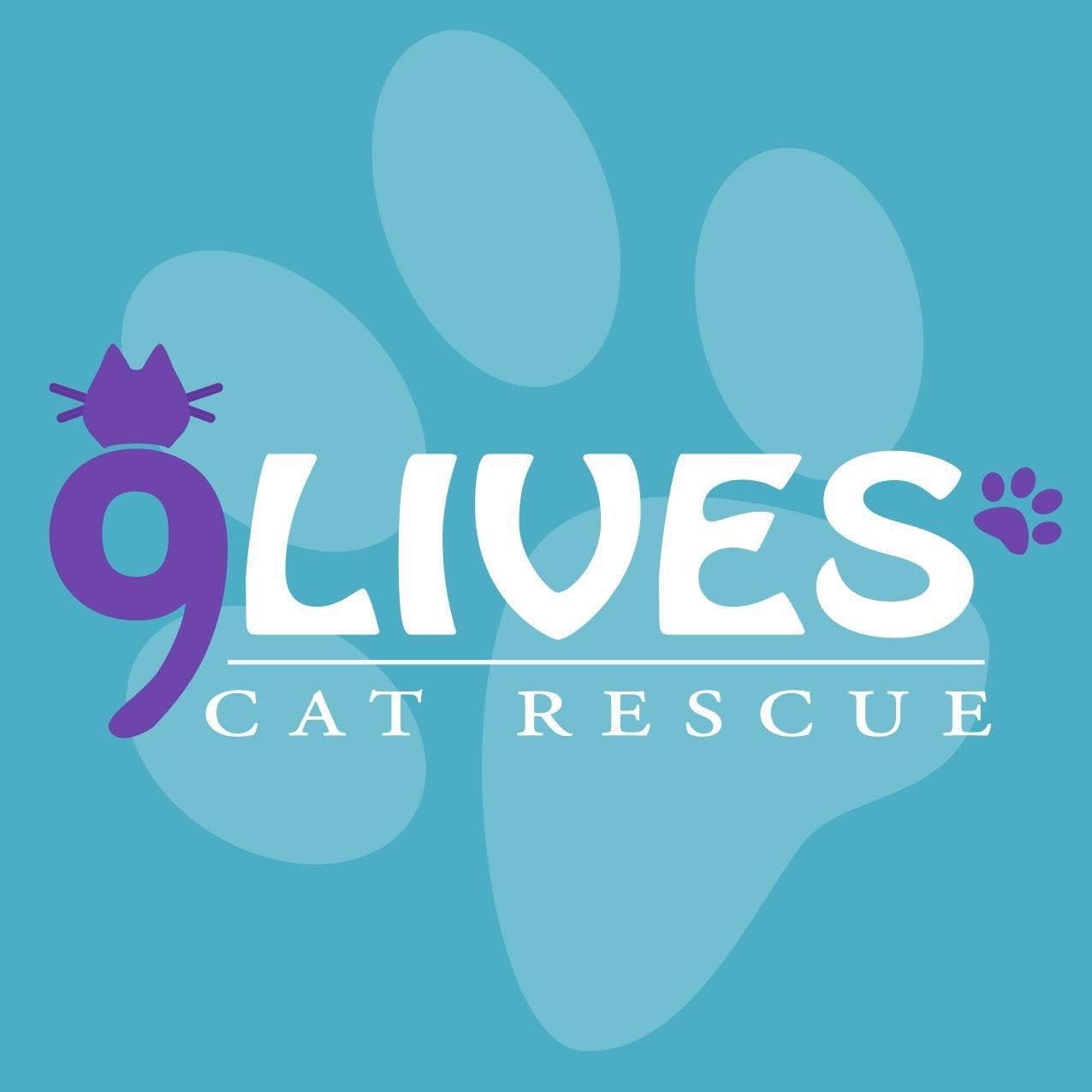 Home | 9 Lives Cat Rescue